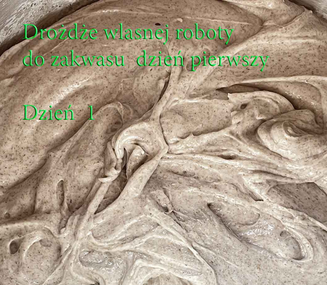 Jak zrobić zakwas i zaczyn do niego – Alicja piecze i fotografuje