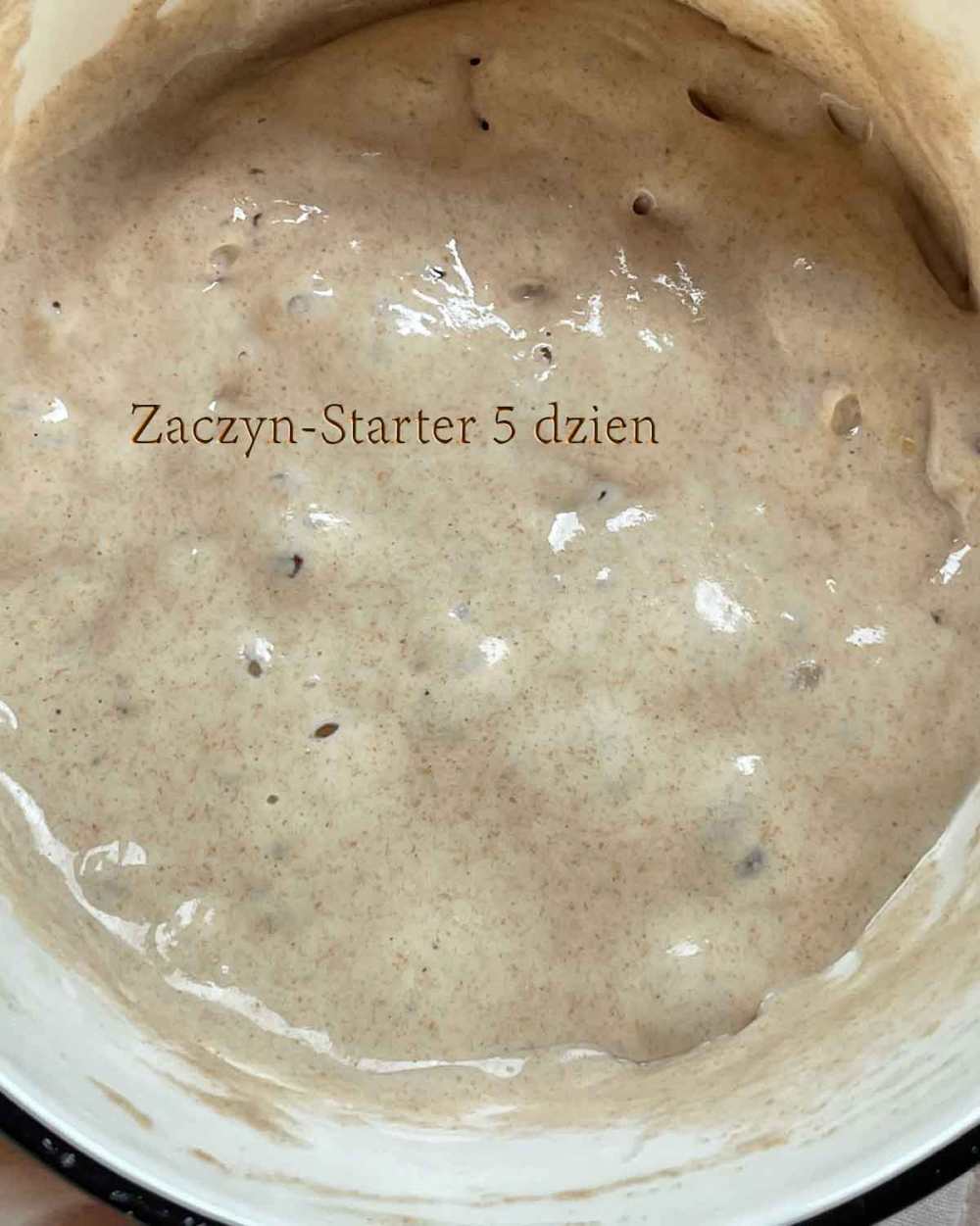 Jak zrobić zakwas i zaczyn do niego – Alicja piecze i fotografuje