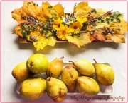 Gruszkowe ciasto jesienne – Alicja piecze i fotografuje